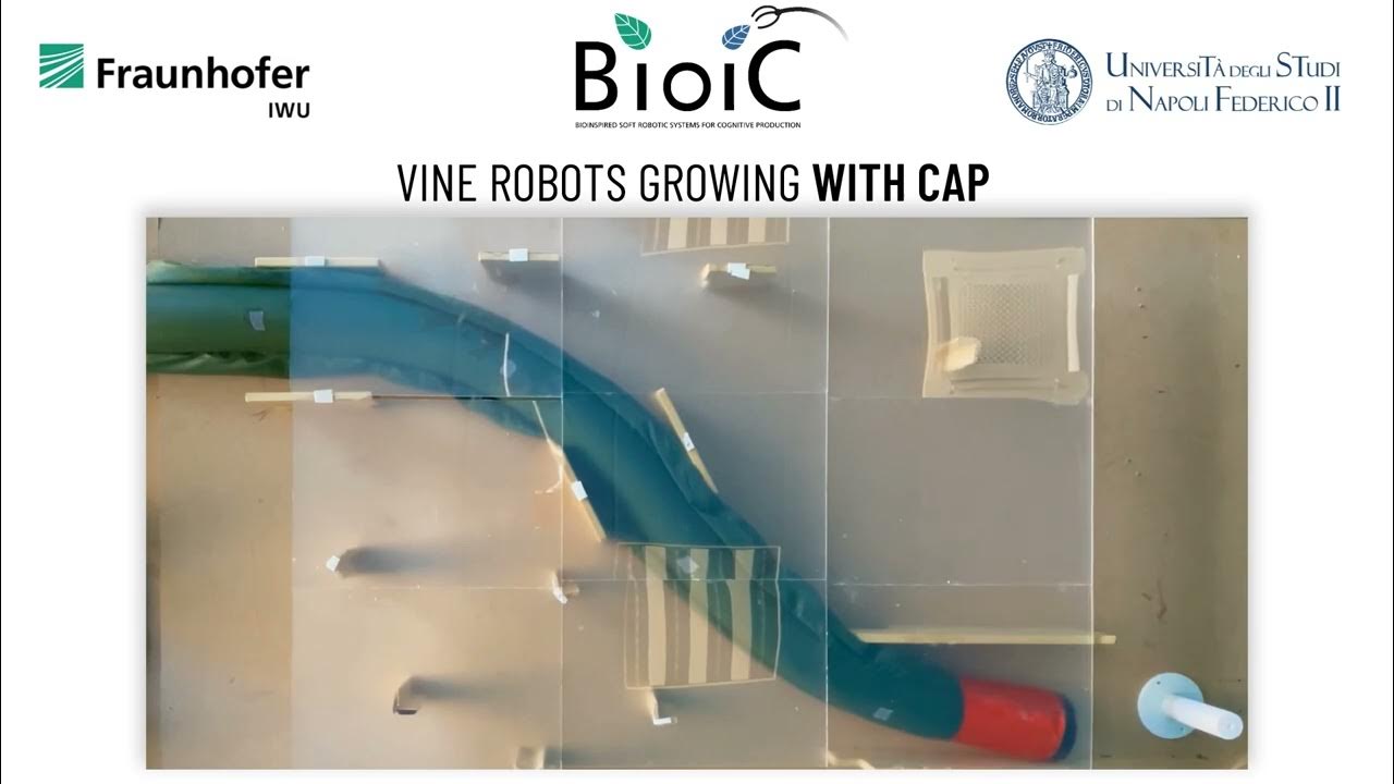 BIOIC Soft Growing Robots - YouTube