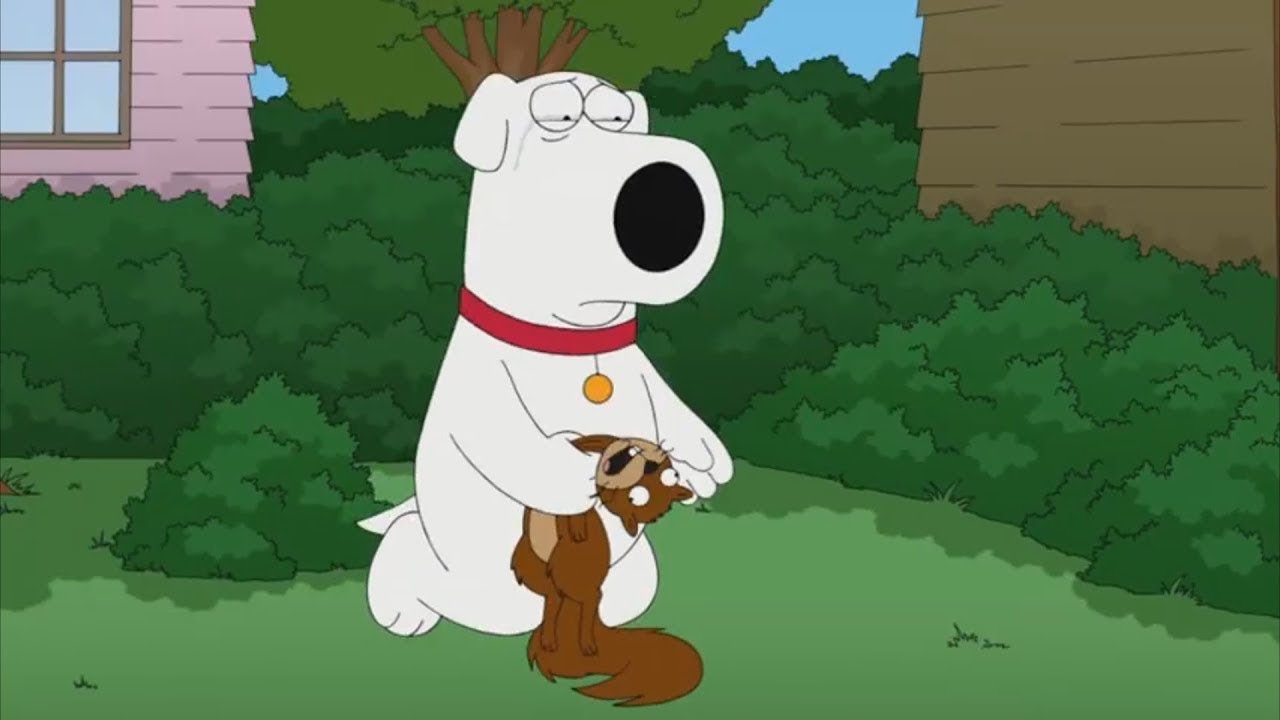 Family Guy - Brian Kills a Squirrel - YouTube