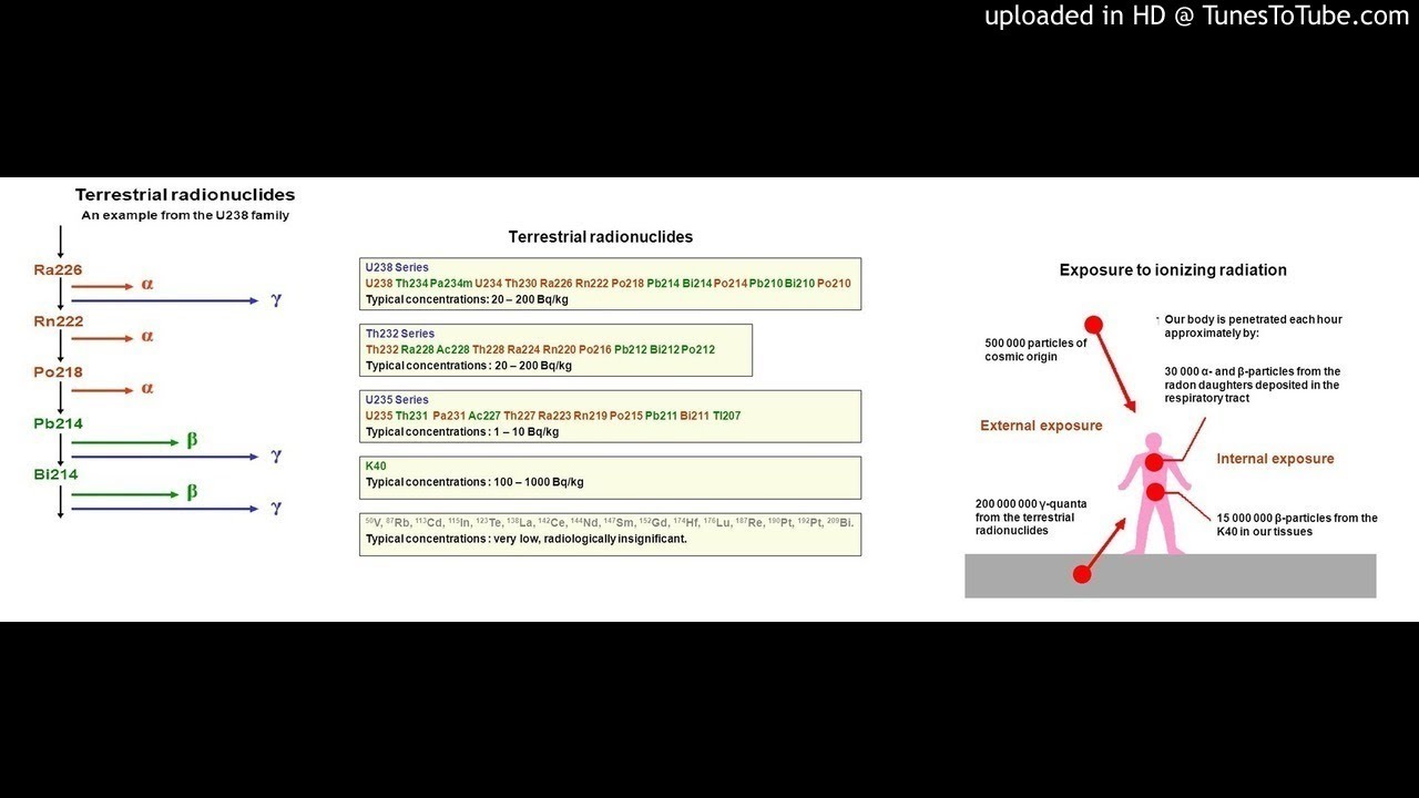 The terrestrial radionuclides (226Ra, 232Th, and 40K) : Assessment of ...