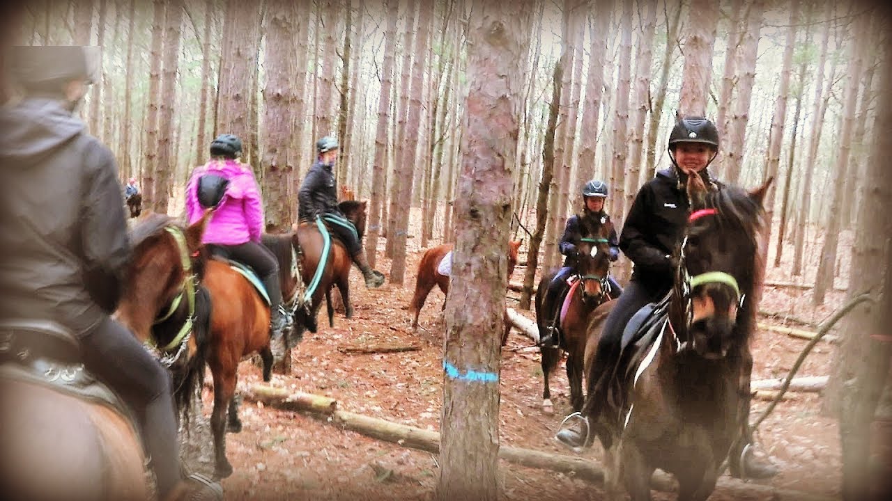 THE JUMPING TRAIL RIDE! - YouTube