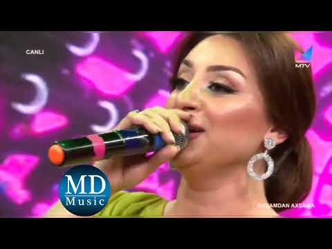 Sefa Xasi Mikayil Guleddinoglu Kim Sevmese Oz Yurdunu Axsamdan Axsama