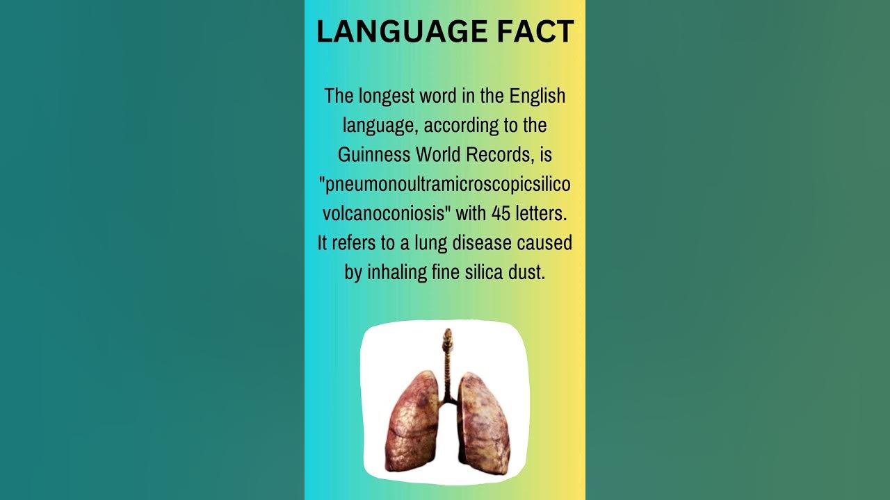 The Longest Word In English funfacts language shorts YouTube the-longest-word-in-english-funfacts-language-shorts-youtube