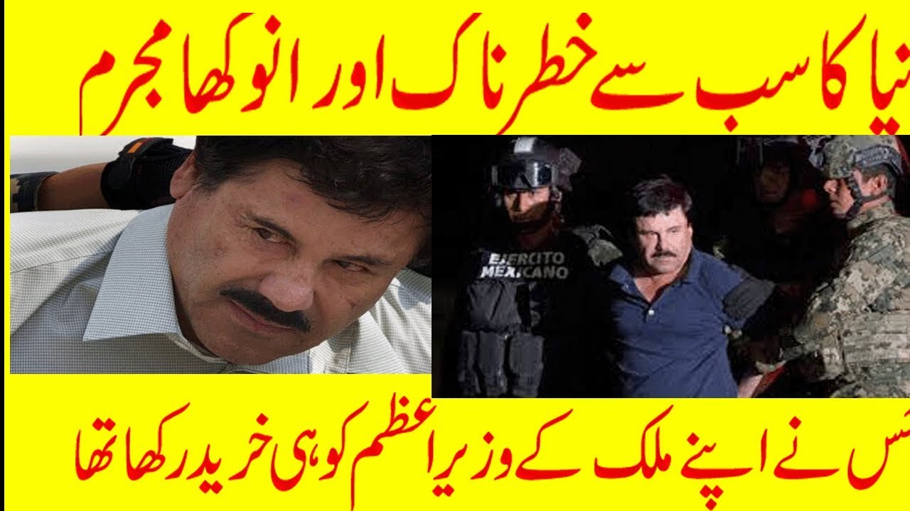 the most dangerous criminal in the world - YouTube