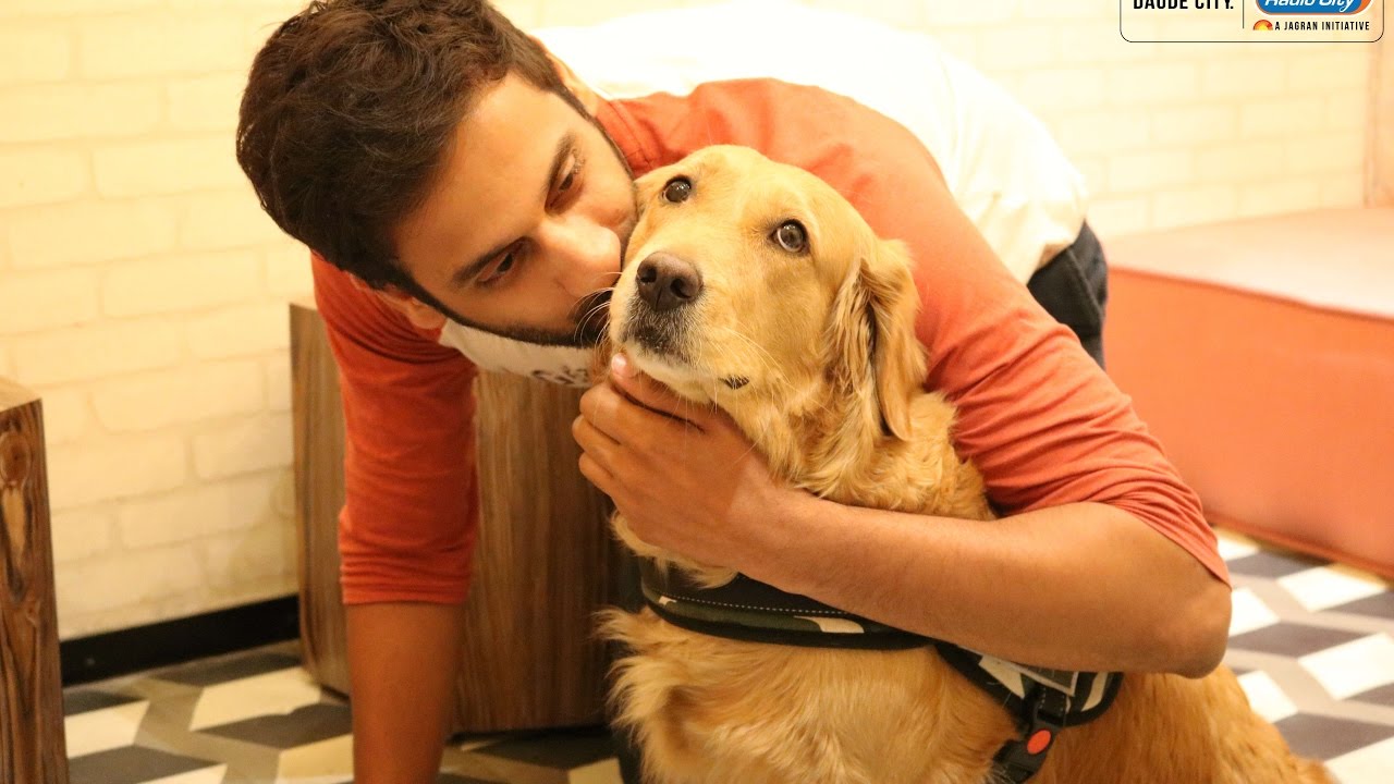 Senior Pet Dog, Sunshine with RJ Rohit Vir at Radio City 91.1 FM - YouTube