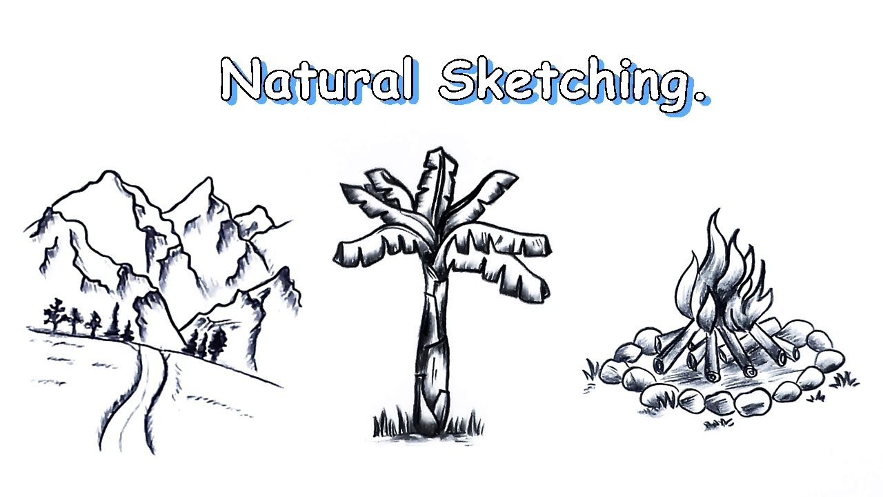 How to draw Natural How to draw banana. tree very easy. How to draw ...