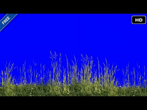 Grass chroma key effects HD Footages || Blue screen grass effects HD ...