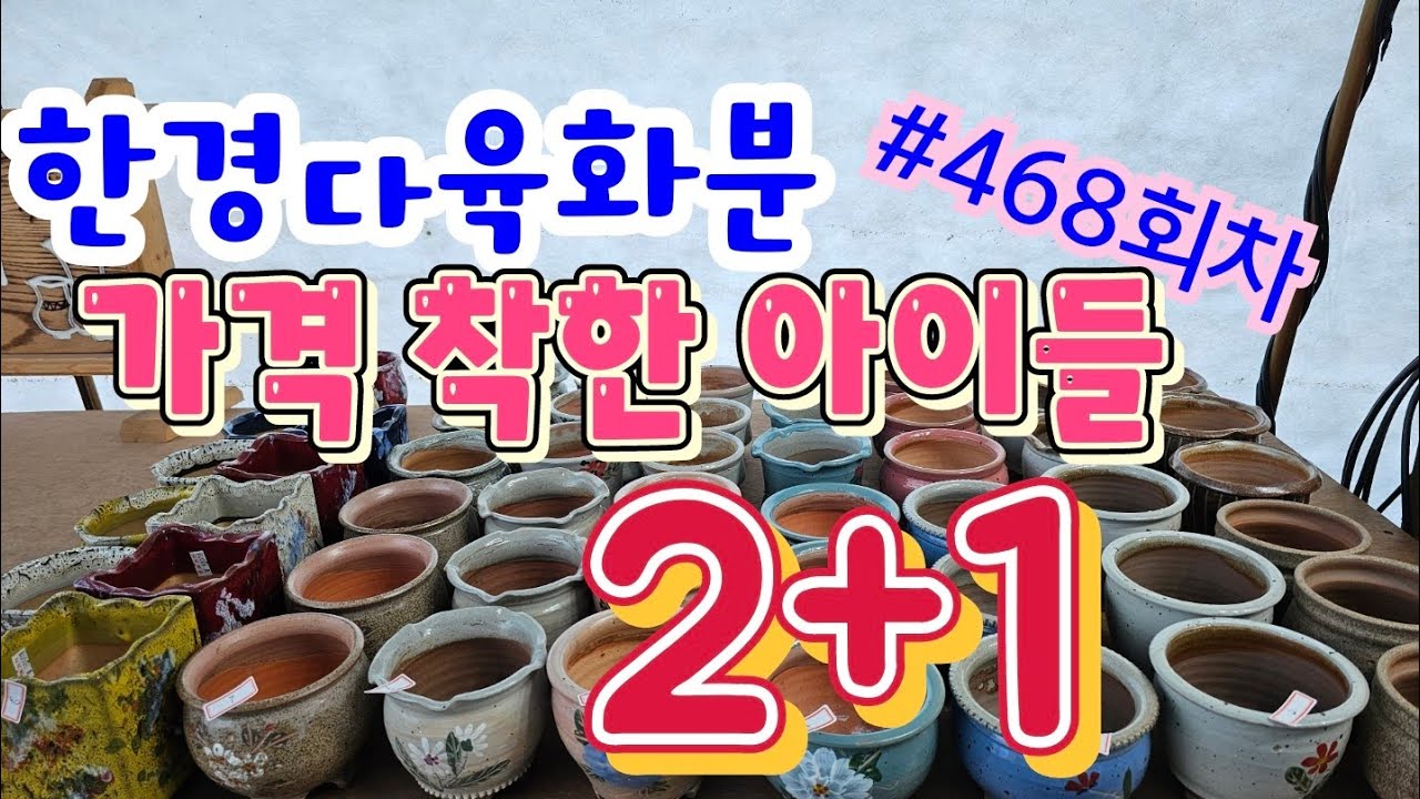 2024년 4월 23일468회차영상 한경다육화분 수제공방분 공방분 다육화분 화분 다육이 다육식물 Youtube