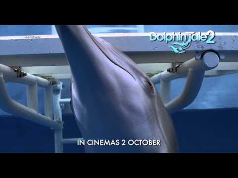 DOLPHIN TALE 2 - \