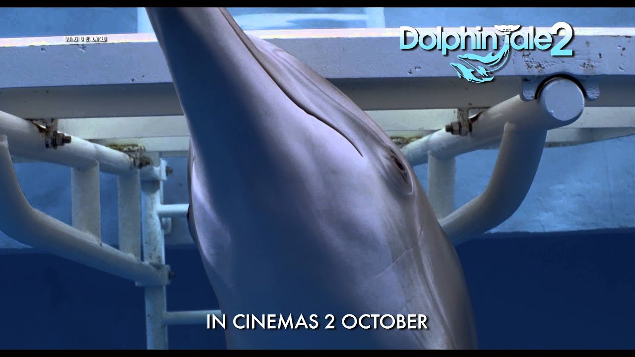 Dolphin Tale 2 Hope Florida Aquariums Feature Underwater Stars