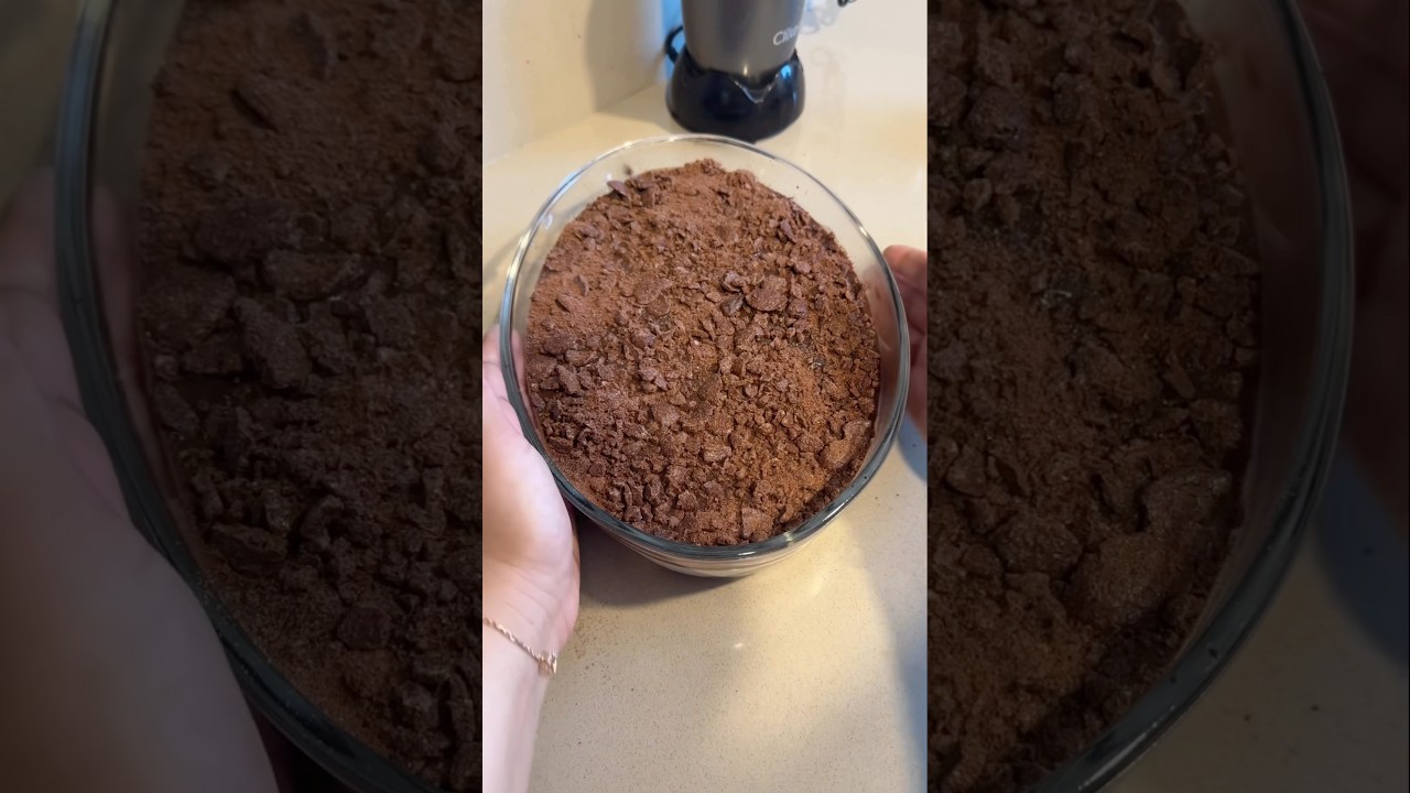 Viral lazy cat pudding - YouTube