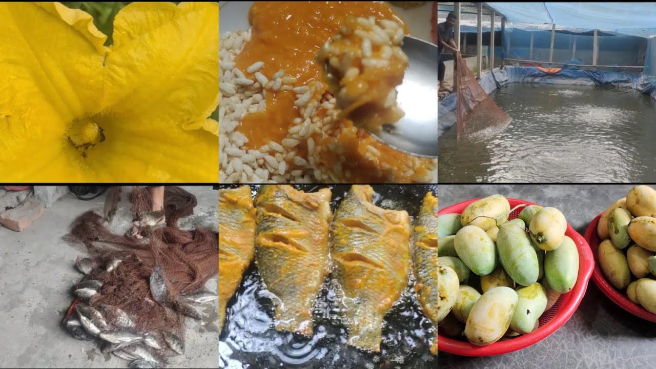 নারায়ণগঞ্জের আম নিয়ে গেলাম বাপের বাড়ি নিয়ে আসলাম ঢাকার মাছ ||RABEYA'S VLOGS - YouTube