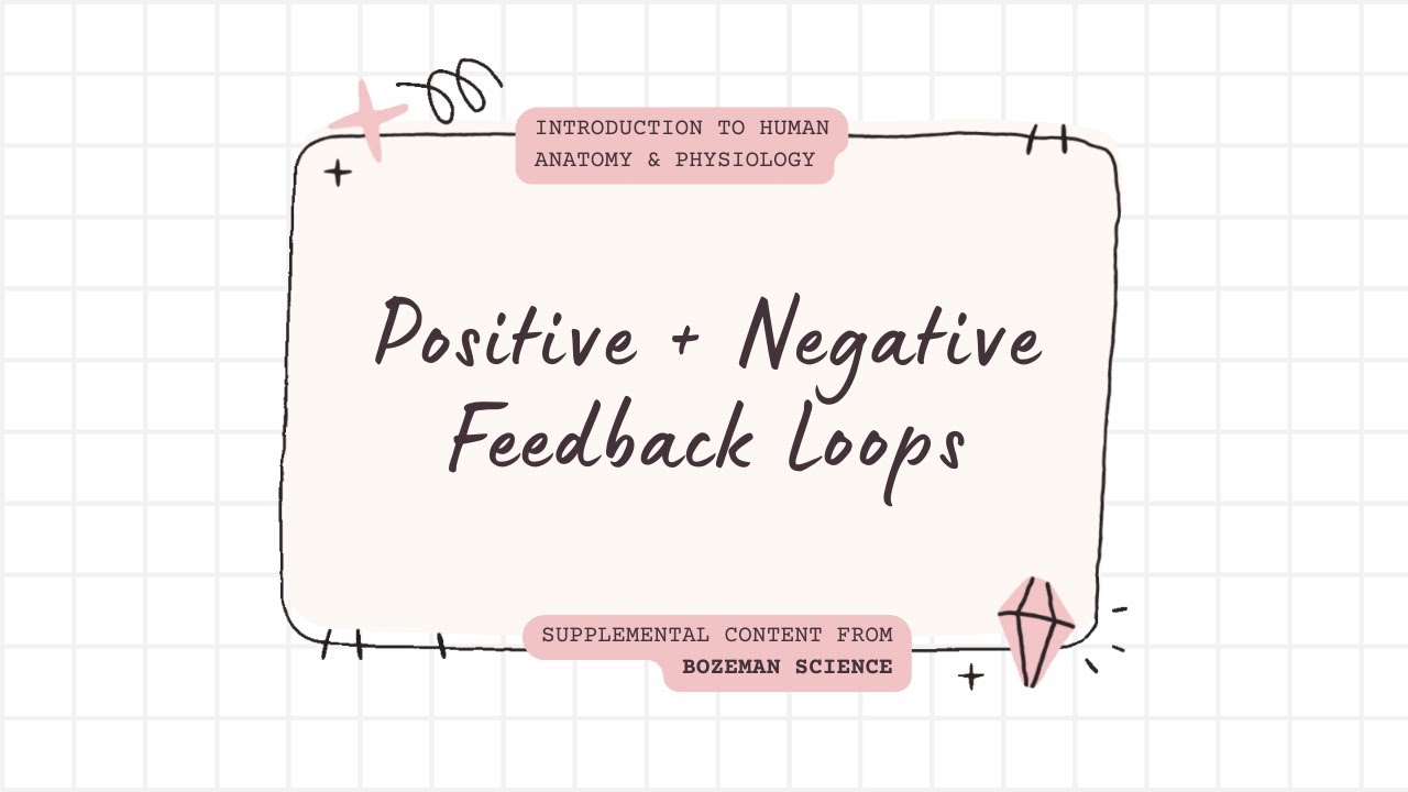 Positive & Negative Feedback Loops (Bozeman Science) | Introduction to ...