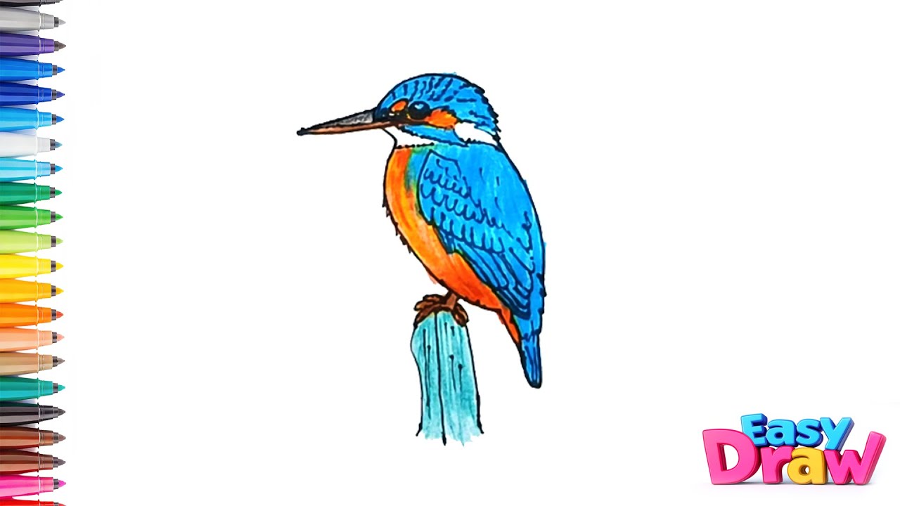 How to Draw a Kingfisher - Easy Step-by-Step Pencil Drawing Tutorial ...