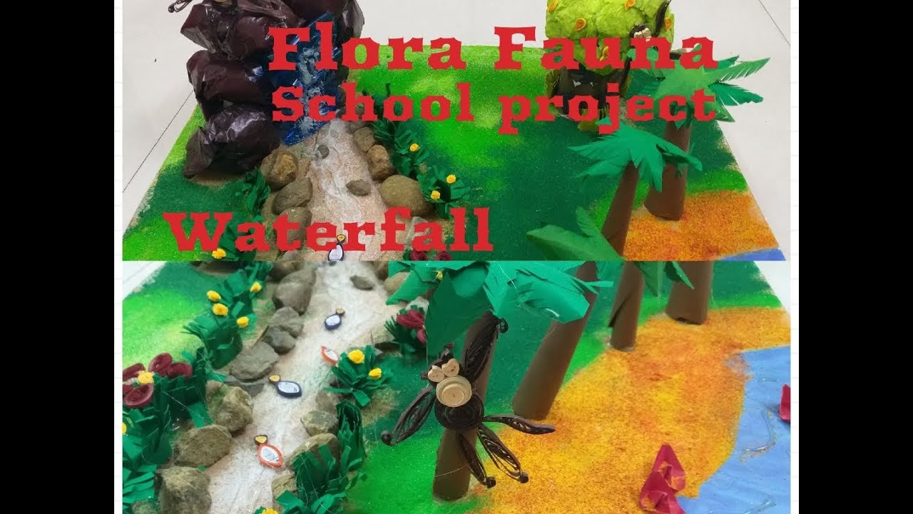 FLORA FAUNA / SCHOOL PROJECT / WATERFALL / GOA - YouTube