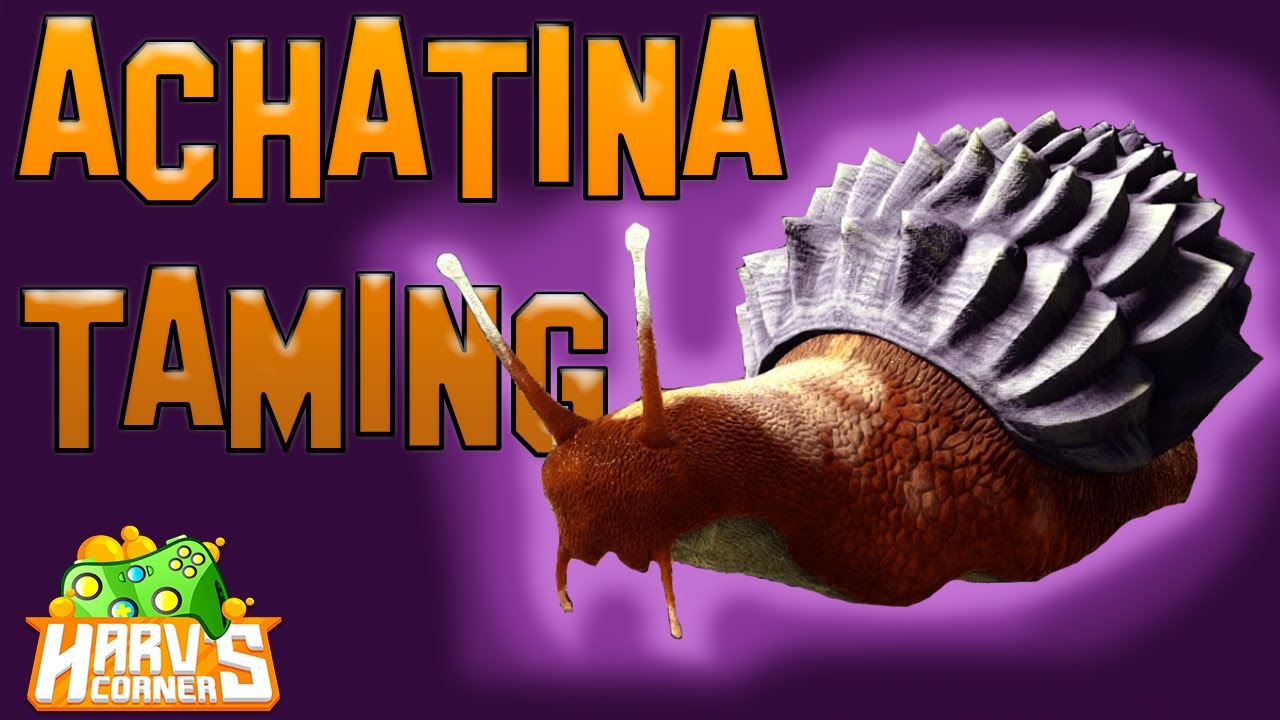 Ark How To Tame Achatina Ark Survival Evolved YouTube ark-how-to-tame-achatina-ark-survival-evolved-youtube