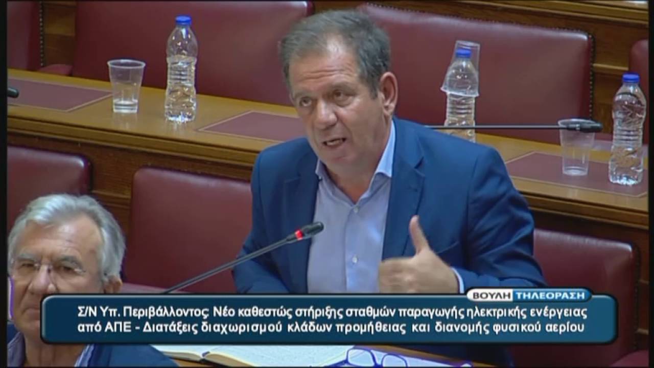 ΤΟΠΟΘΕΤΗΣΗ ΜΙΜΗ ΔΗΜΗΤΡΙΑΔΗ ΣΤΗ ΜΕΙΚΤΗ ΕΠΙΤΡΟΠΗ ΓΙΑ ΤΟ Ν/Σ ΤΩΝ ΑΠΕ - 3/8 ...