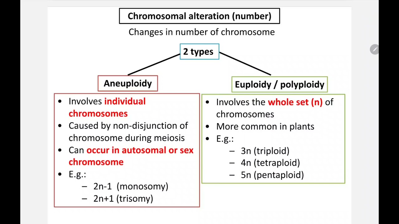 7.3 (e,f,g) Chromosomal mutation_chromosomal number alteration ...