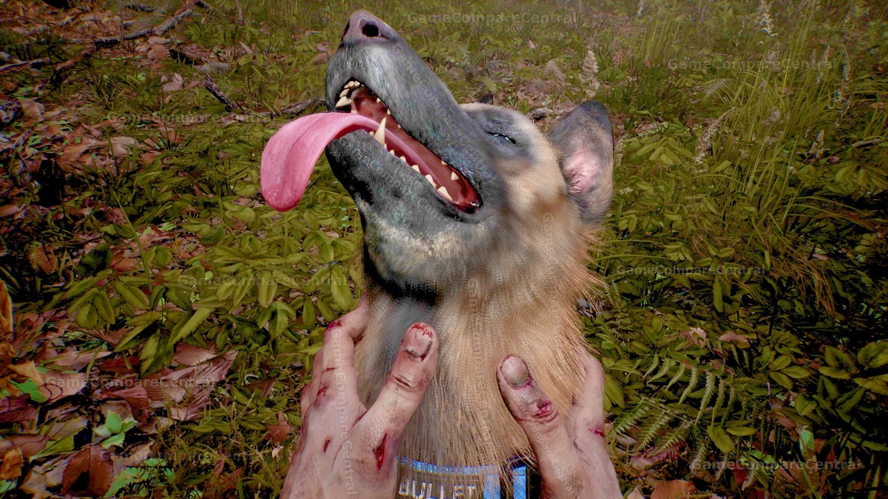 Blair Witch All Pet Dog Animations - YouTube