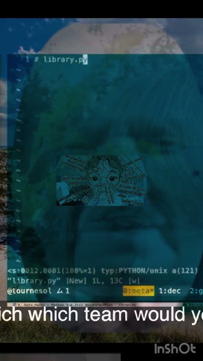Python front end back end - YouTube