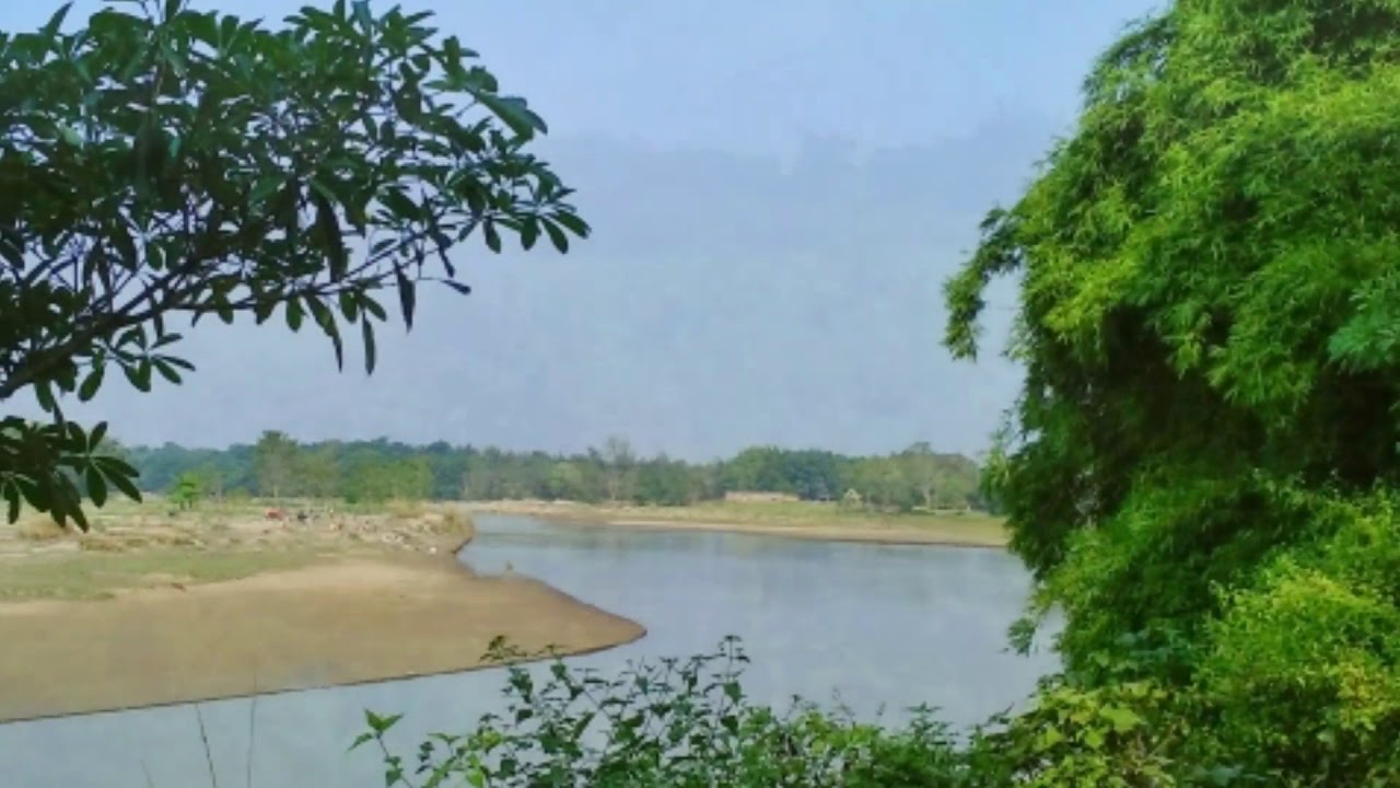Natural beauty of Assam. - YouTube