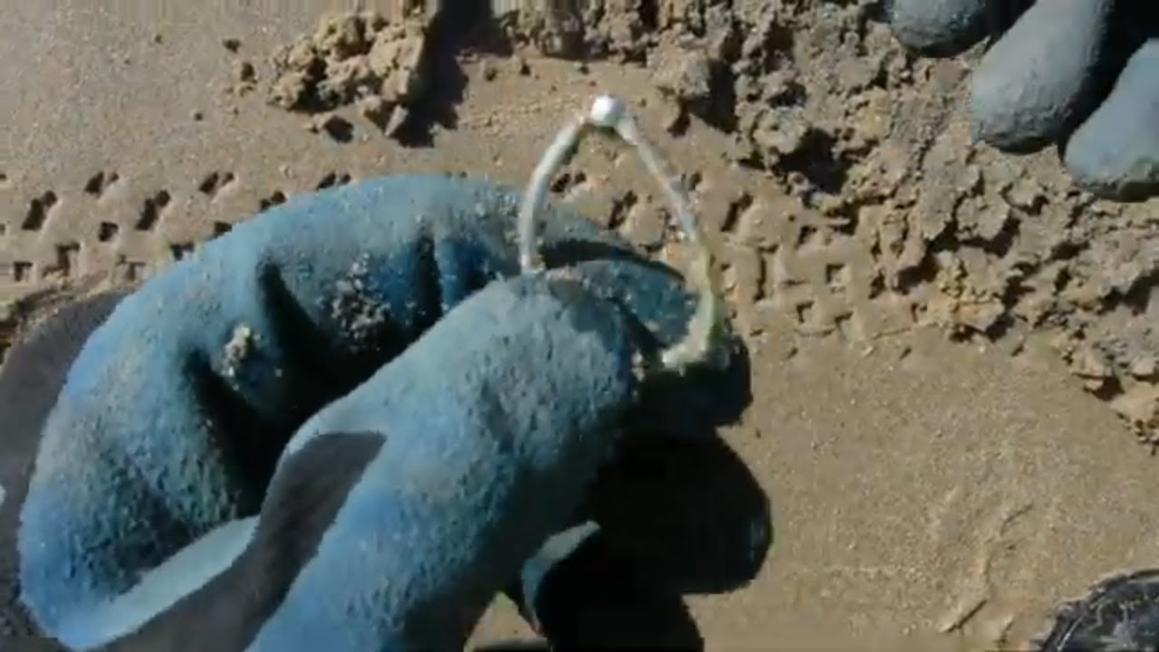 Penny Beach and Foreign Coins! - YouTube