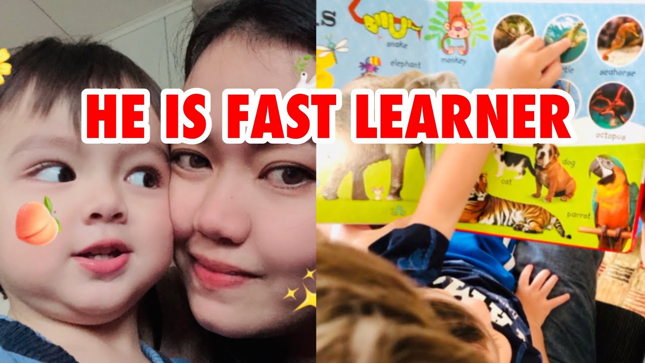 MY BABY KNOW IT ALL ANIMALS COLORS HOW TO TEACH TODDLER Lets my-baby-know-it-all-animals-colors-how-to-teach-toddler-lets