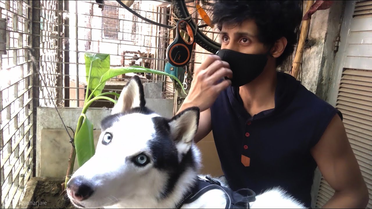 Ghar Pe Sab Log Thik Ho Gaye YouTube ghar-pe-sab-log-thik-ho-gaye-youtube