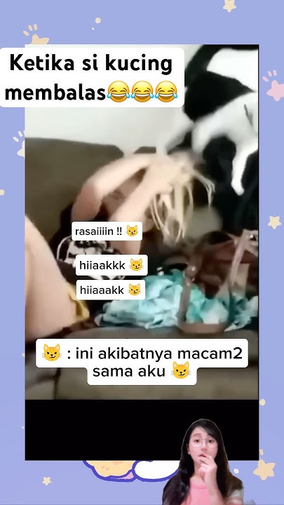 Ketika si kucing membalas #kucing #kucinglucu #videolucu #funny #kucingimut #cuteanimal - YouTube