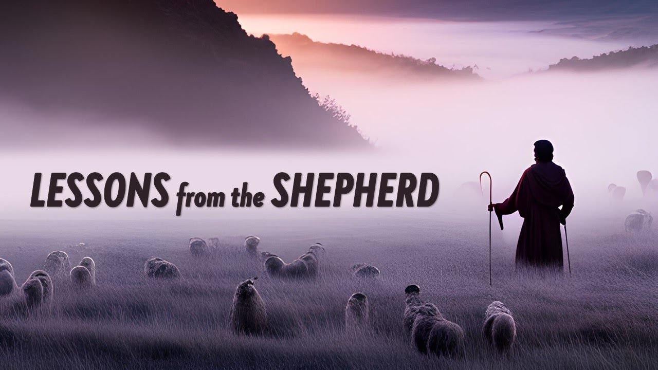 Lessons from the Shepherd | Rhese Morgan | LifeSpring Church of ...