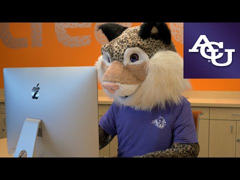 What Is The Abilene Christian University Mascot
