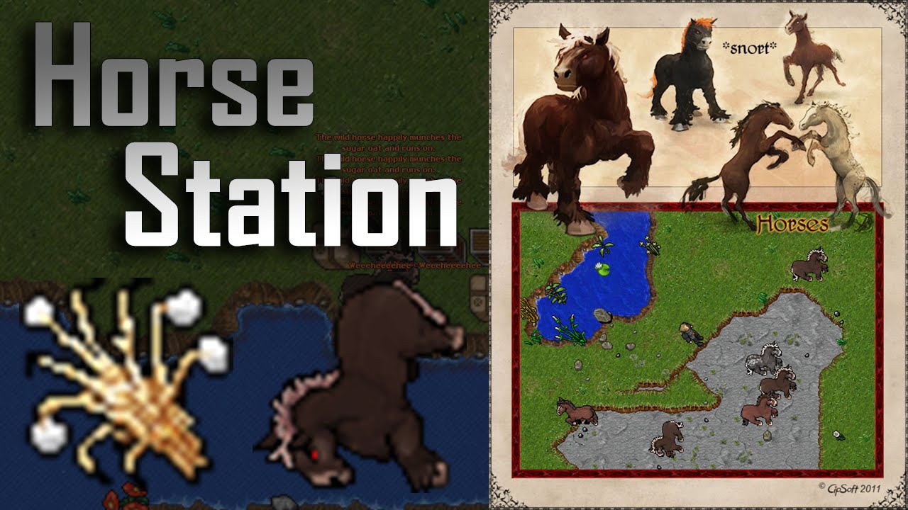 Tibia - Como domar o Wild Horse - YouTube