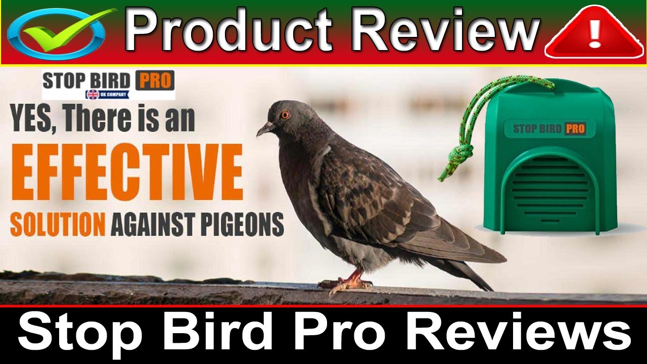 Stop Bird Pro Reviews: Before Buy Check The Stop-Bird-Pro Box Is Really ...