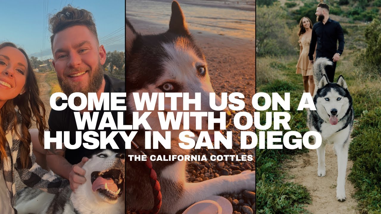 Come with us on a walk with our husky in San Diego - YouTube