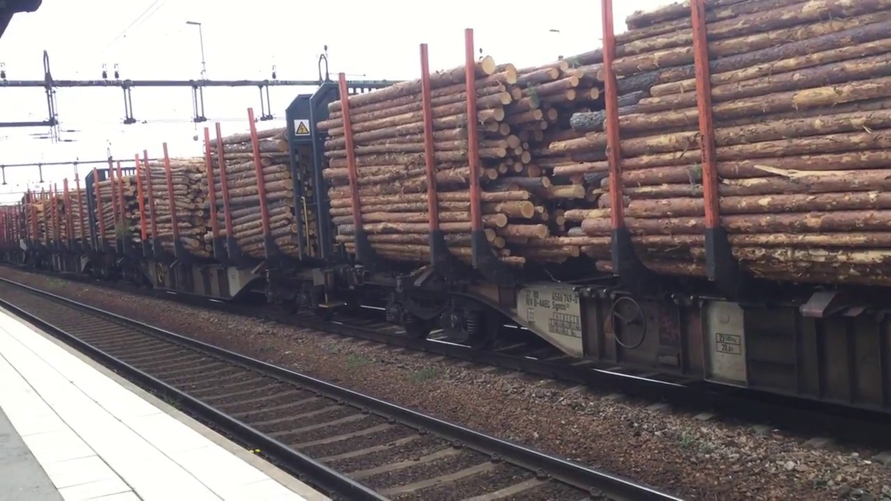 Sweden wood transport by train 2018 | Sverige trätransporter med tåg ...