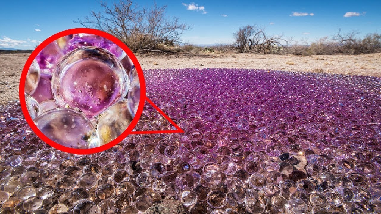 Strange Purple Alien Eggs - 10 Desert Discoveries - YouTube