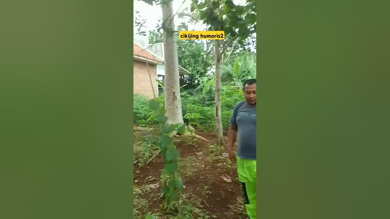 Di lihat dosa gak dilihat mubazir😁😂sketsa humor#lucu #funny - YouTube