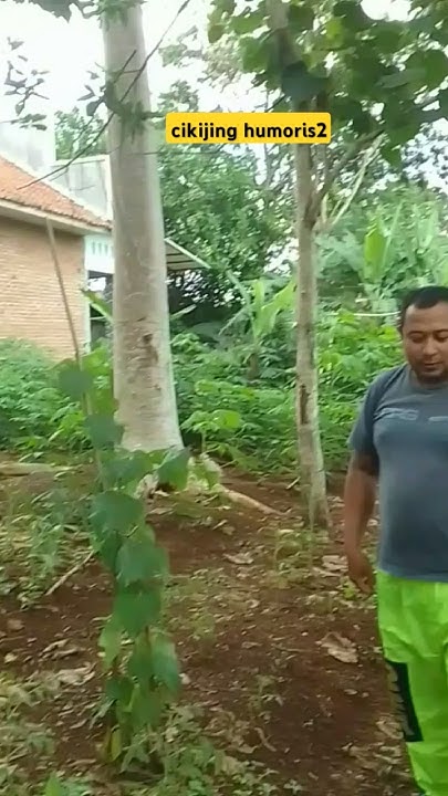 Di lihat dosa gak dilihat mubazir😁😂sketsa humor#lucu #funny - YouTube