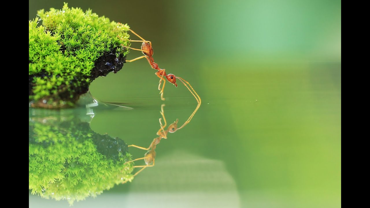 [Cursor] - TDD Prompt Sharing - YouTube