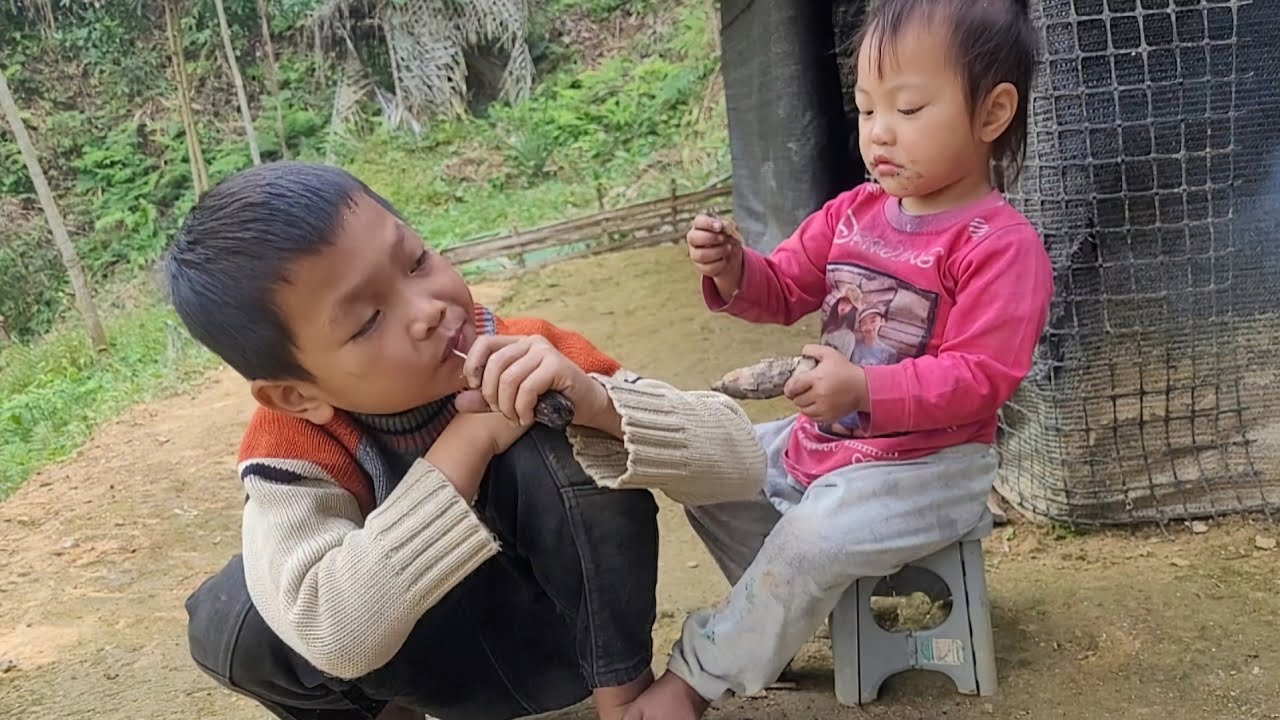 Full video about single mother and 2 orphan boys on a poor farm ...