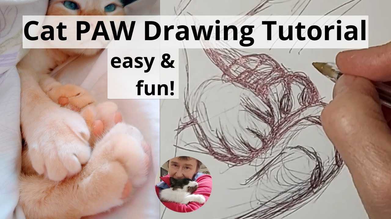 How to Draw Cat Paws Easy - quick pose gesture sketch for beginning ...
