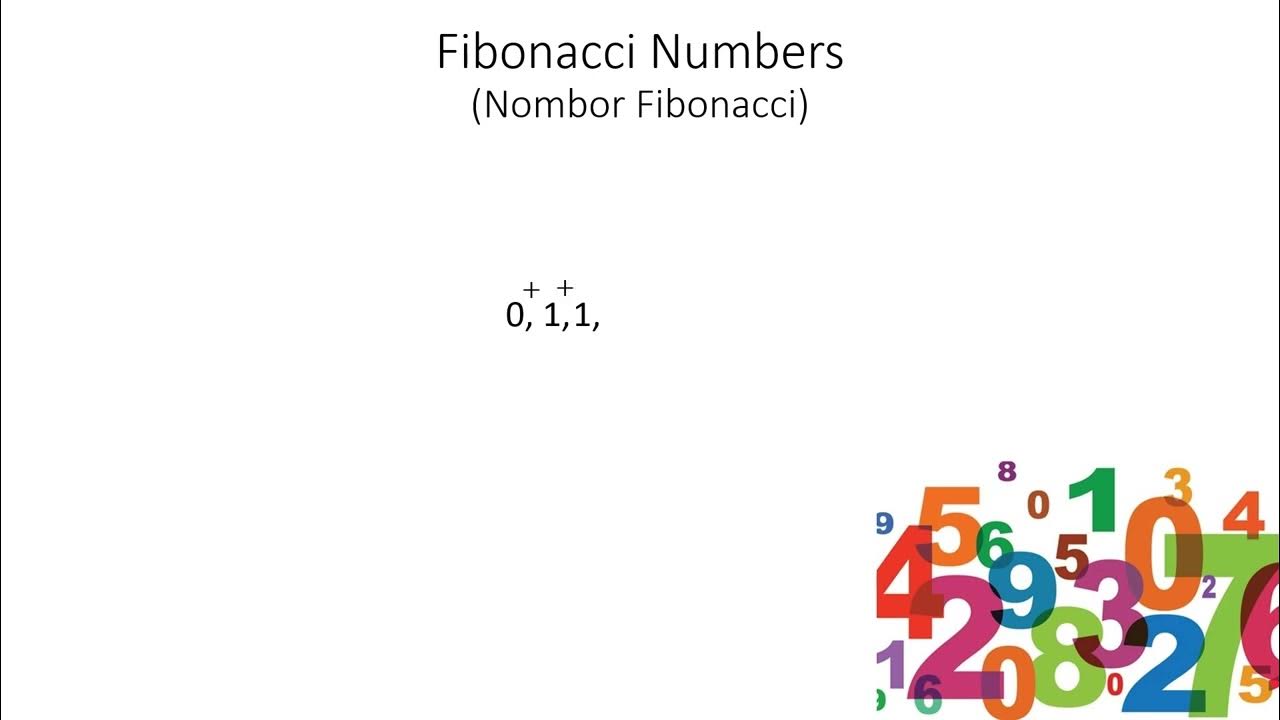 Fibonacci Numbers - YouTube