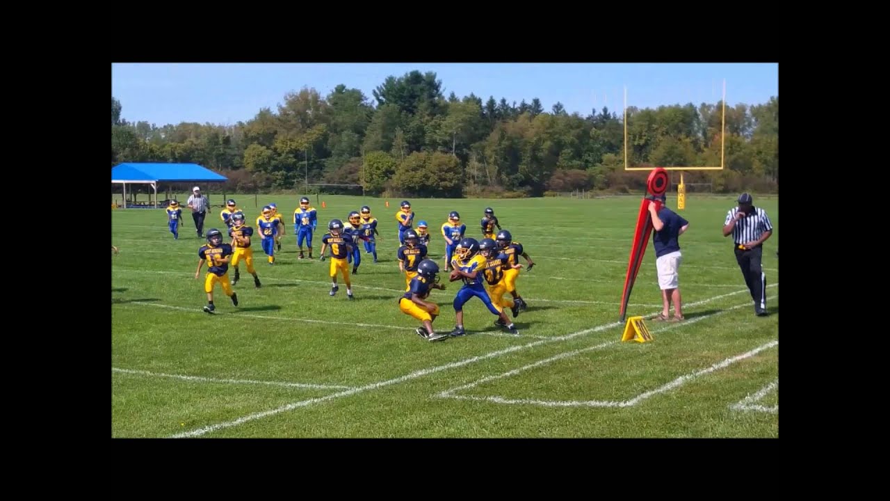 Eastwood Bears 2015 Division Champs!!!!! - YouTube