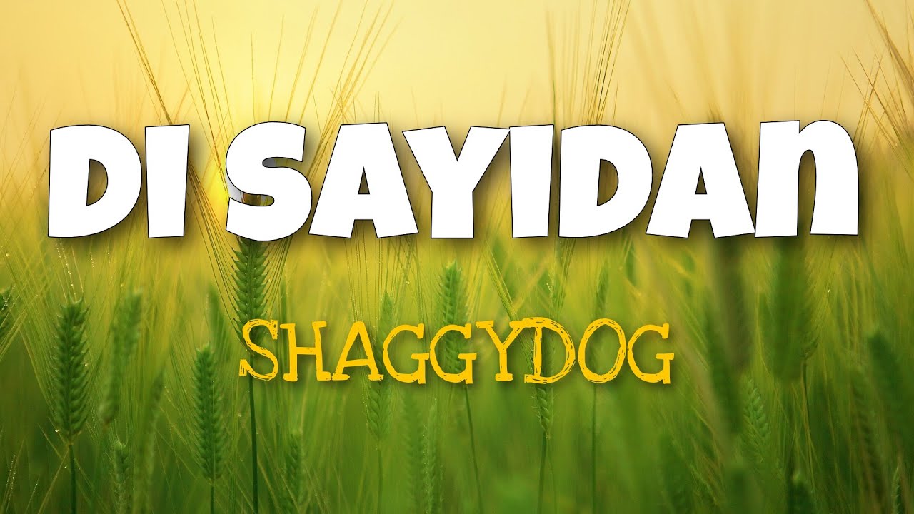 Di sayidan - shaggydog (lirik/lyric) cover - YouTube