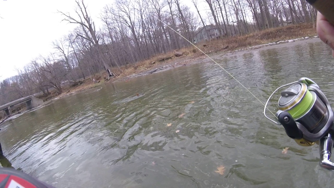 Manchester Hole Steelhead II 2016 - YouTube