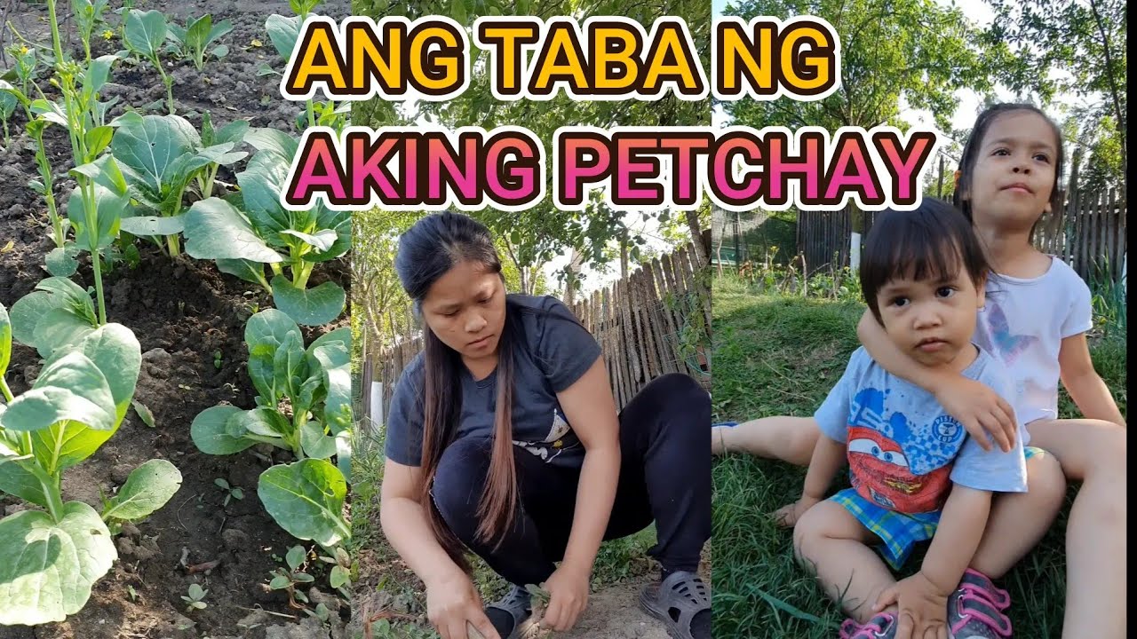 TOUR KO KAYO SA AMING PRUTASAN AT GULAYAN | GRABING BUNGA NG APPLE AT ...