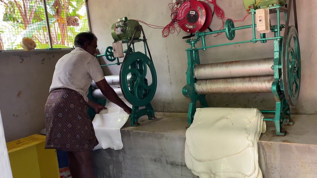 Natural Rubber Sheet Processing | Rubber Trees | Kanyakumari | India ...
