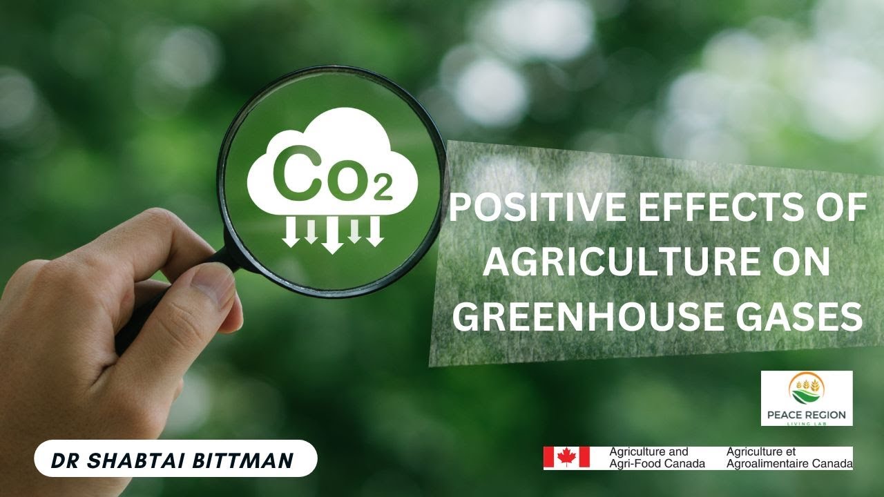Positive effects of agriculture on greenhouse gases - YouTube