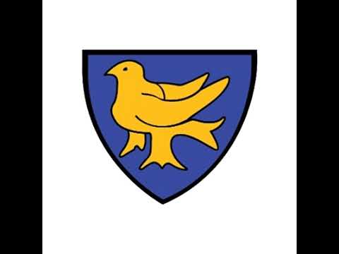 Moore & Smalley Palace Shield Competition - T20 Division 1 South ...