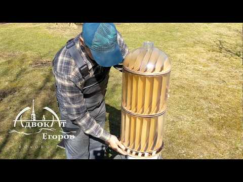 Underground Bees Go Underwater?! And More