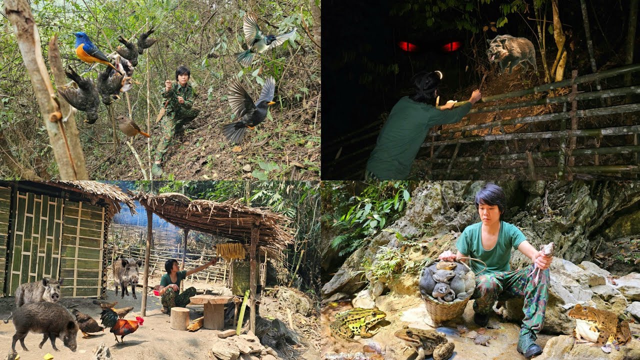 200 Day Survival Challenge, Traps, Shelters, Hunting, Wild Animal ...